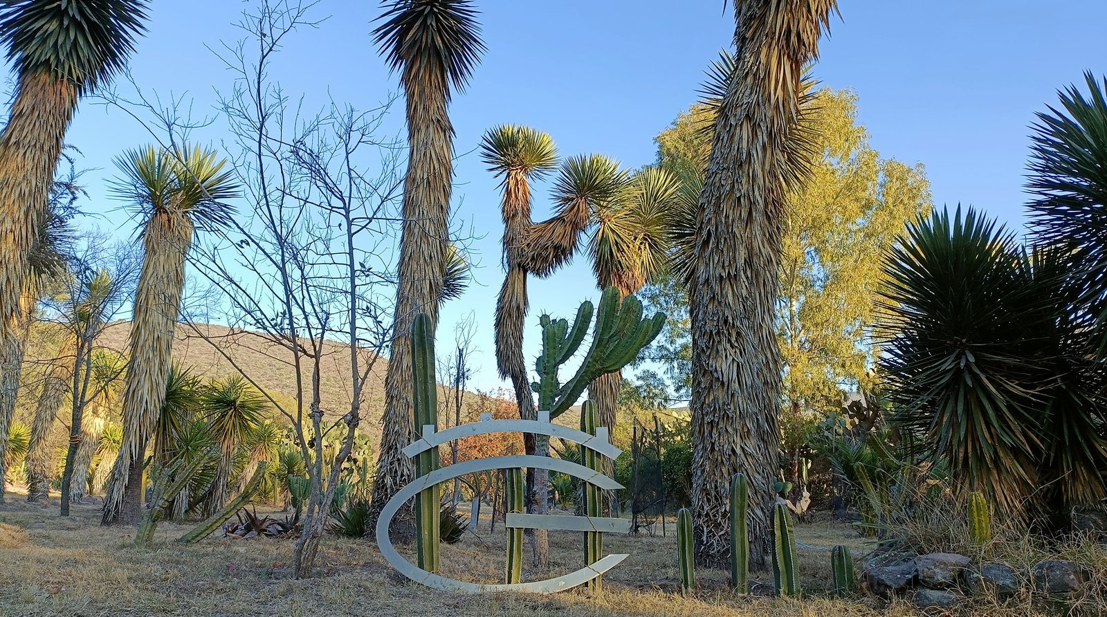 Nuestra Historia - Rancho San José